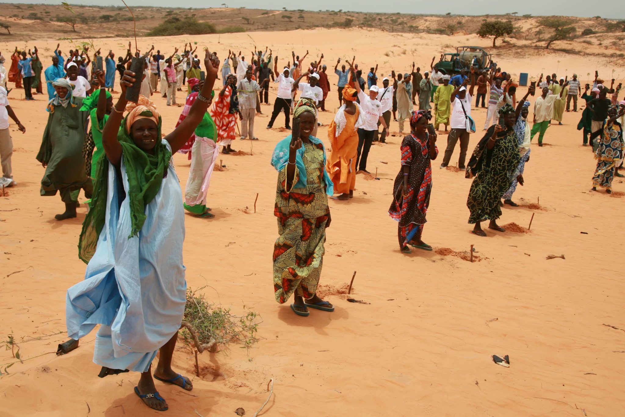 SOS SAHEL – EXPERTS AFRICAINS DE LA SÉCURITÉ ALIMENTAIRE ET NUTRITIONNELLE