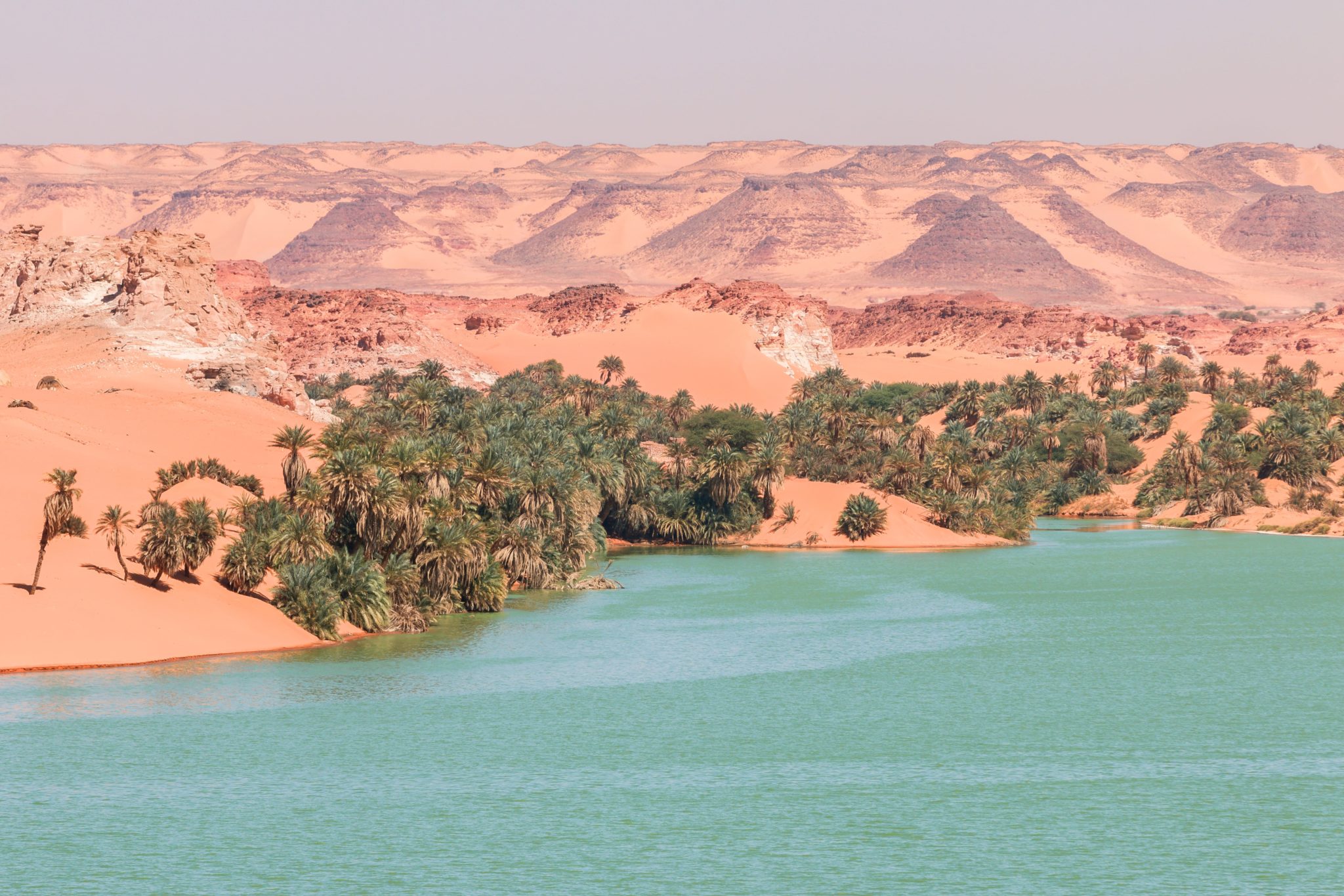 Sauvegardons les perles du désert au Tchad - SOS SAHEL