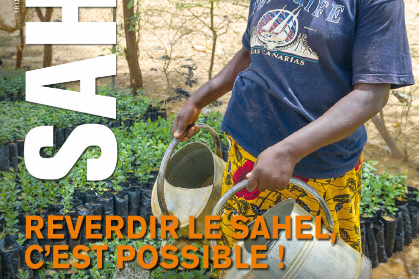 Actualités – SOS SAHEL