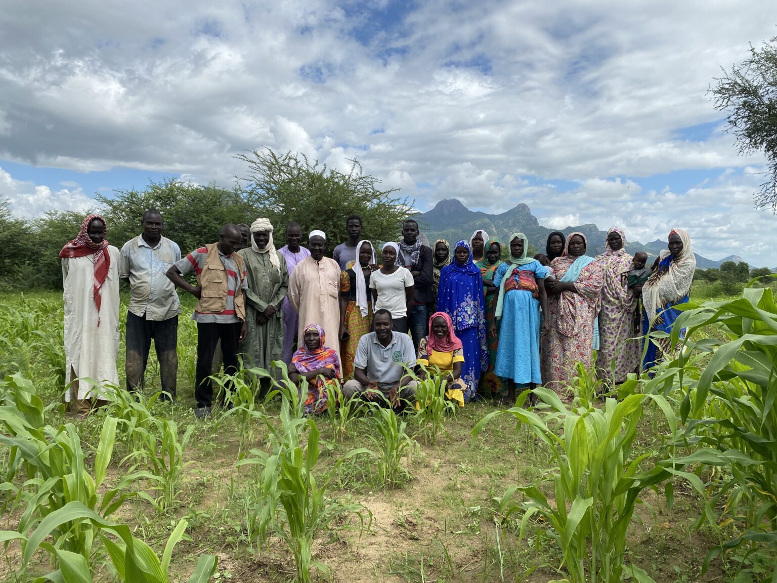 SOS SAHEL – EXPERTS AFRICAINS DE LA SÉCURITÉ ALIMENTAIRE ET NUTRITIONNELLE