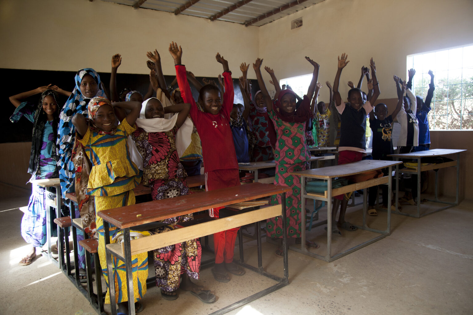 SOS SAHEL – EXPERTS AFRICAINS DE LA SÉCURITÉ ALIMENTAIRE ET NUTRITIONNELLE